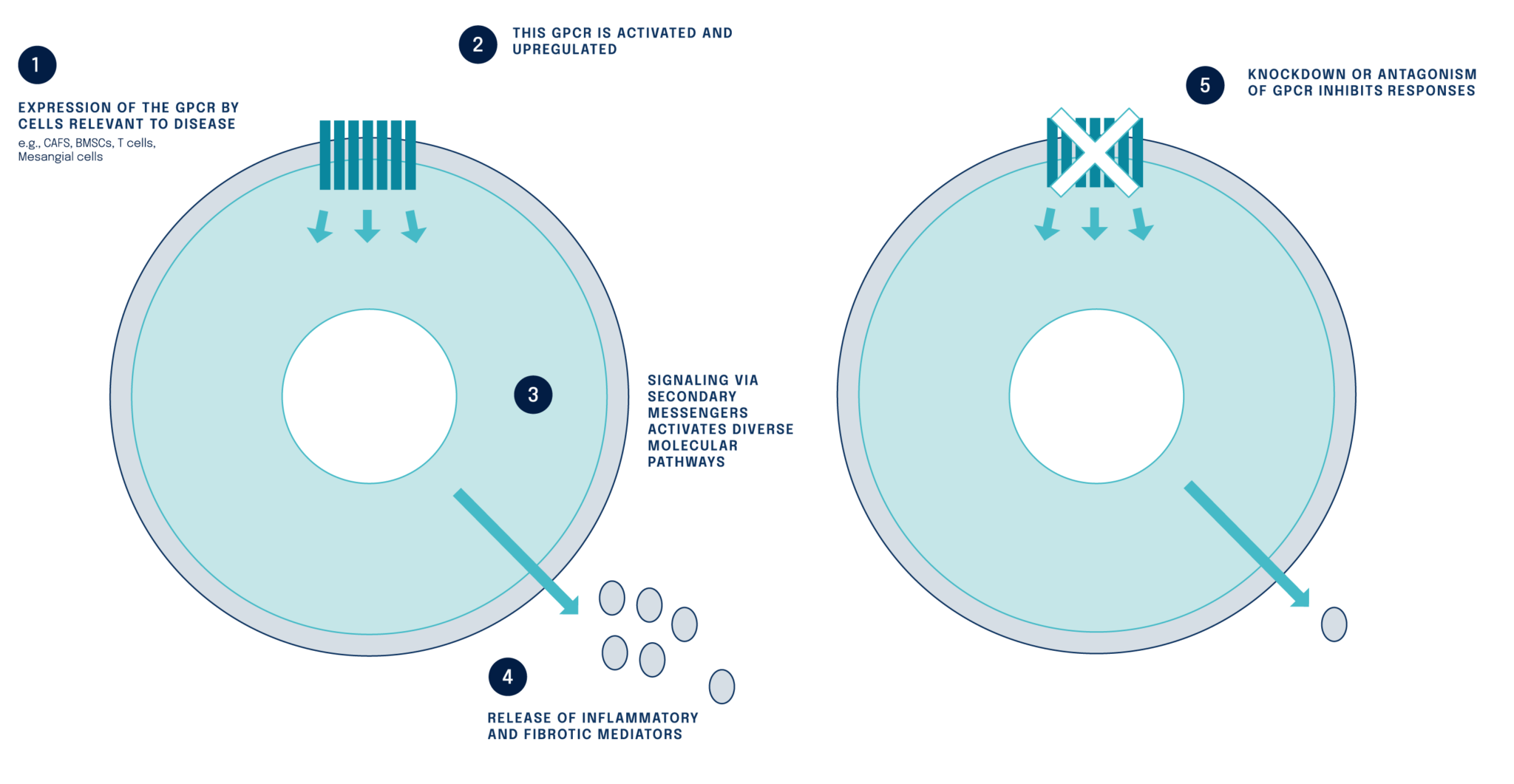 Science – Certa Therapeutics