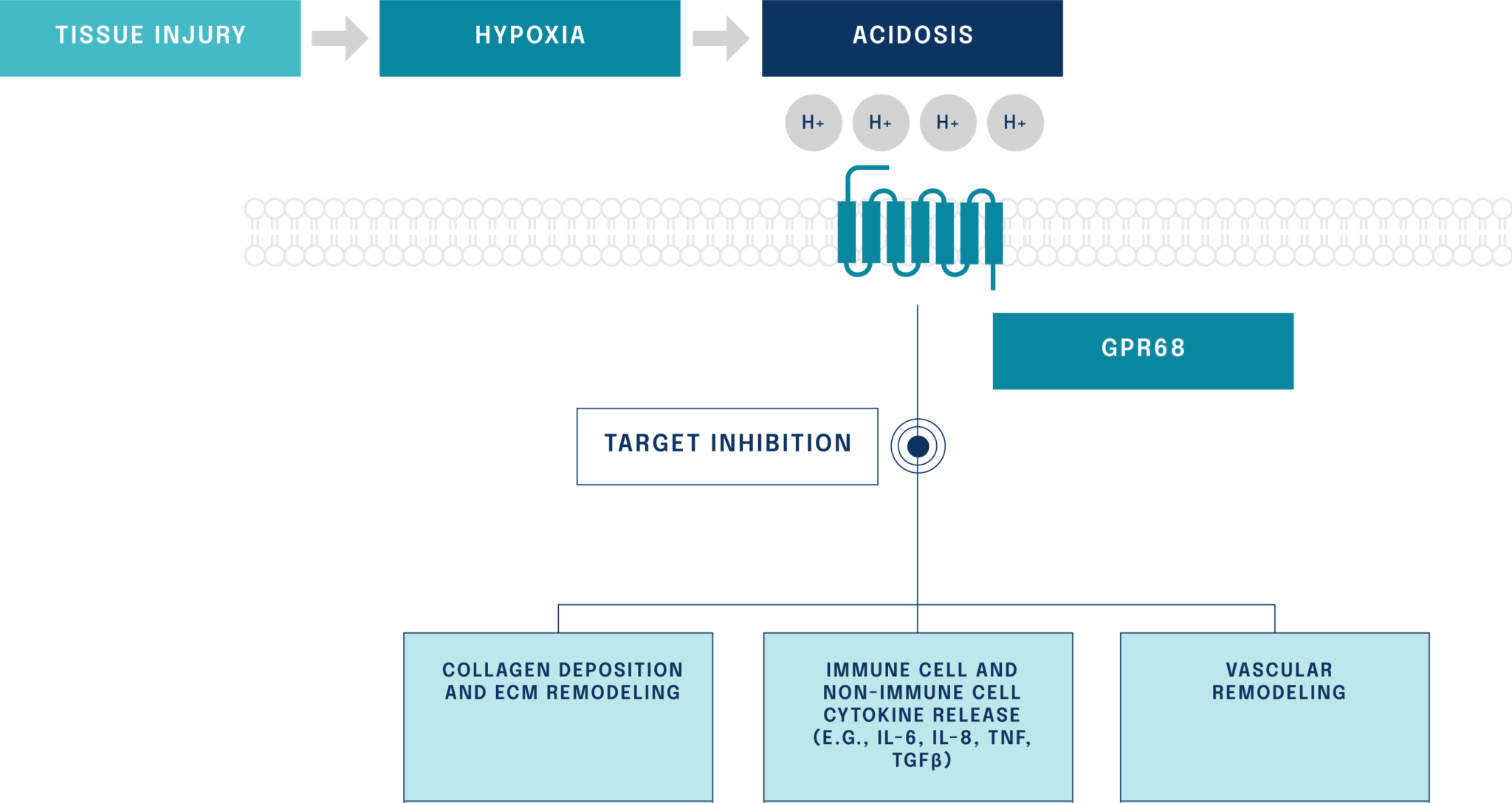Science – Certa Therapeutics